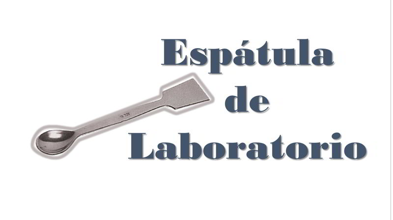 Espátula de Laboratorio » Instrumentos de Laboratorio