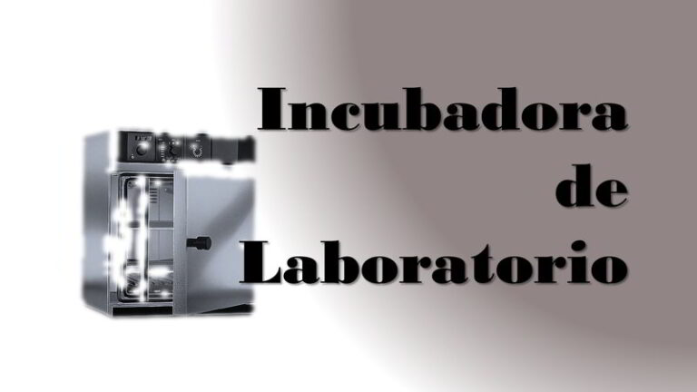 Embudos de Laboratorio: Que es, Tipos y Funciones » Instrumentos de ...