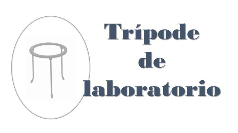 Embudos de Laboratorio: Que es, Tipos y Funciones » Instrumentos de ...