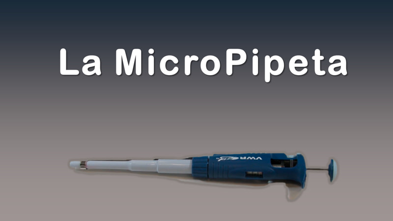 Micropipeta » Instrumentos de Laboratorio